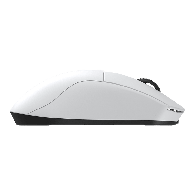 Wirless Gaming Mouse - A950 Pro | Dareu Official Store – DAREU